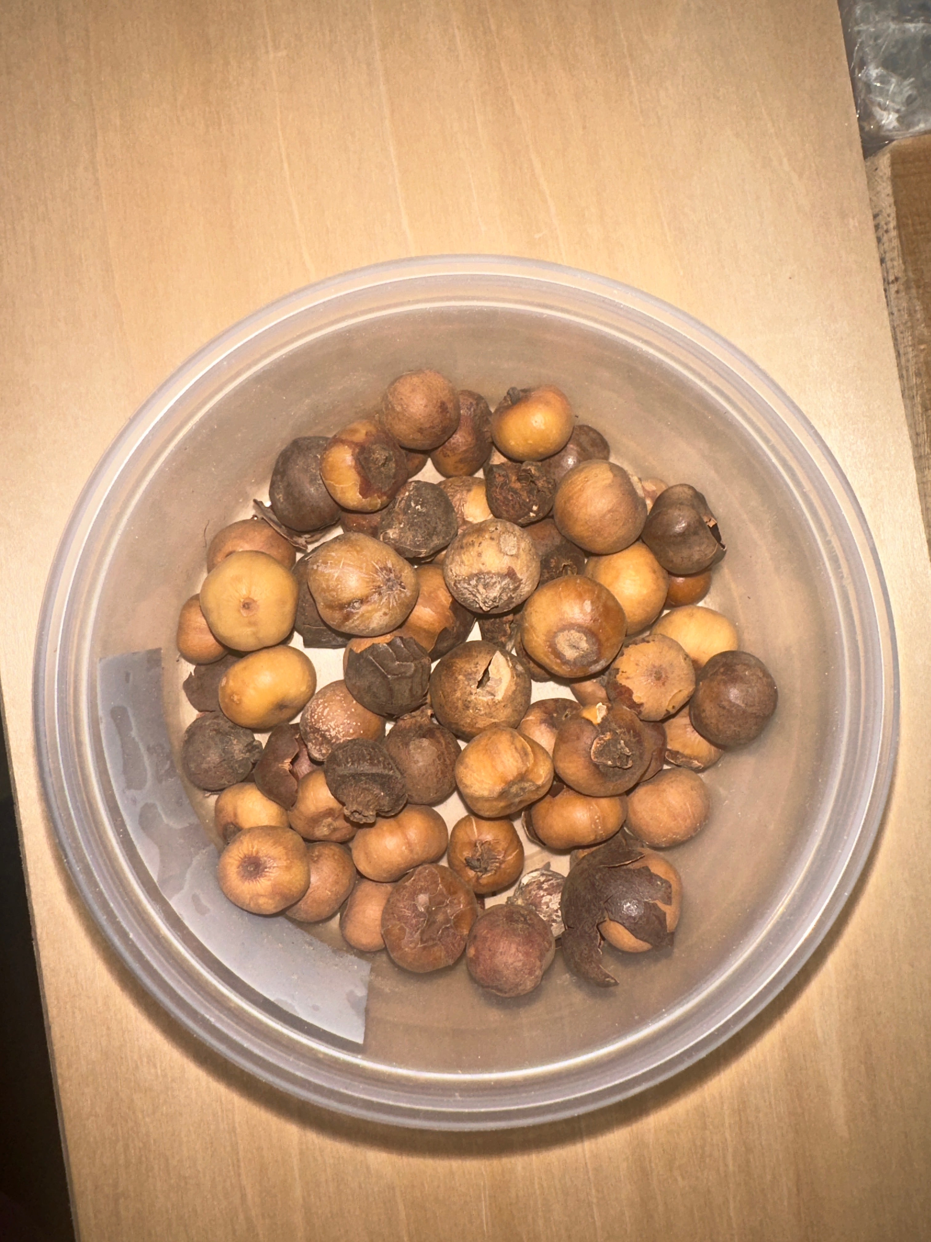 Control Onions – Noi African